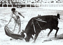 La razón incorpórea: Las querencias del toro de lidia (y III) La práctica